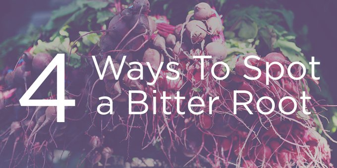 Four Ways to Spot a Bitter Root | True Woman Blog | Revive Our Hearts